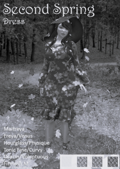 Second Life Marketplace - Second Spring Demo BOXED